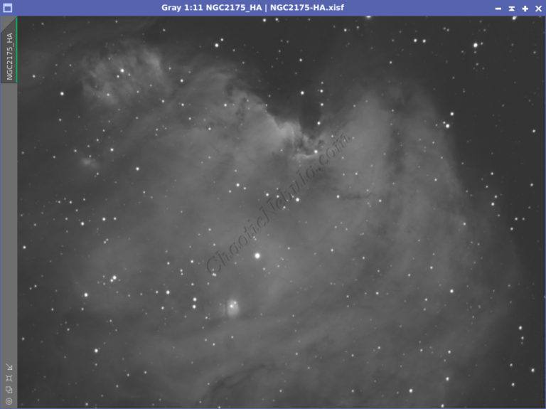 NGC 2175: Monkey Head Nebula in Orion
