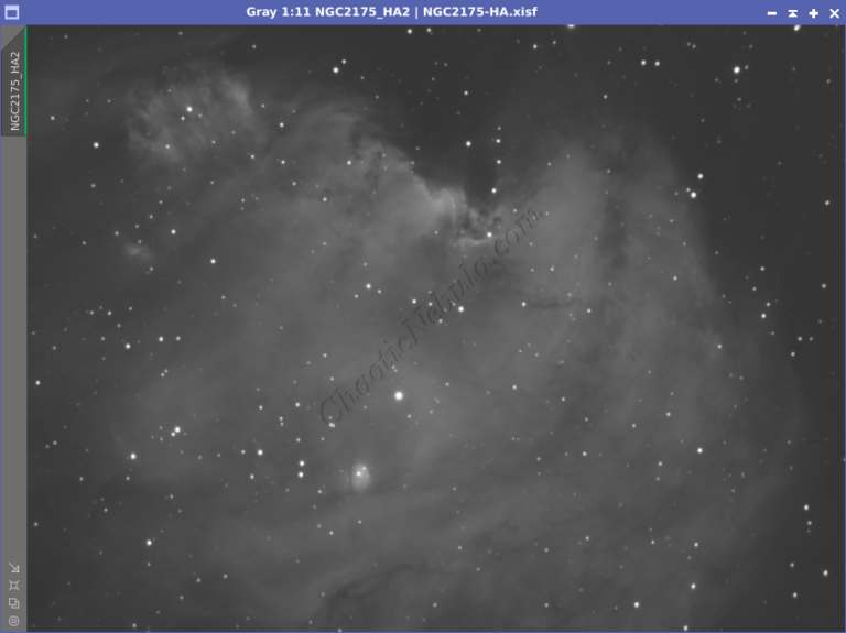 NGC 2175: Monkey Head Nebula in Orion