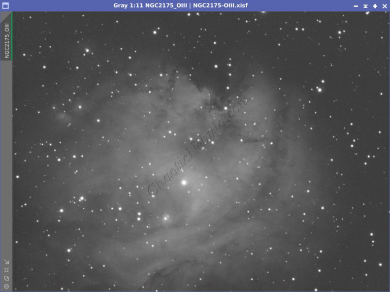 NGC 2175: Monkey Head Nebula in Orion