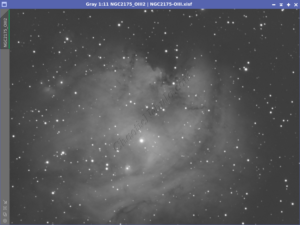 NGC 2175: Monkey Head Nebula in Orion