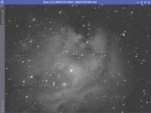 NGC 2175: Monkey Head Nebula in Orion