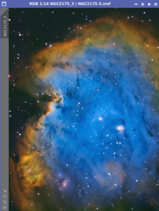 NGC 2175: Monkey Head Nebula in Orion