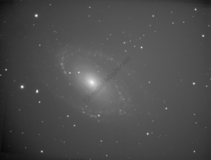 Messier 81 (M81): Bode’s Galaxy in Ursa Major